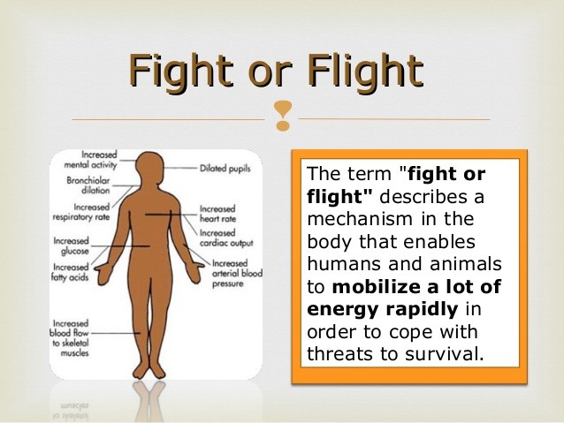 RB46: How To Overcome Fear, Anxiety And Worry With Your Running ...